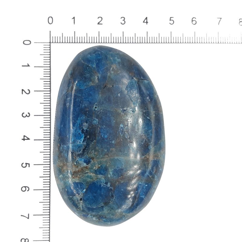 Apatito Azul "Palm Stone" Piedra calmante. Intelecto – Caleidoscopio